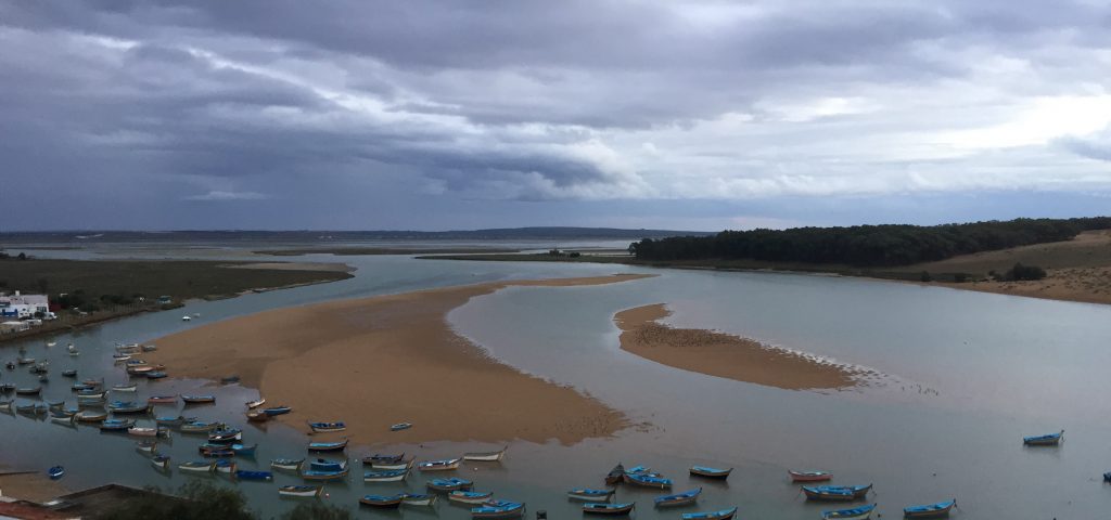 Lagune Merja Zerga Maroc 11 | MedWet