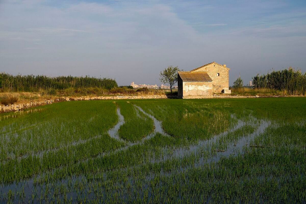 Wetlands and Livelihoods: Nurturing life, sustaining communities | MedWet