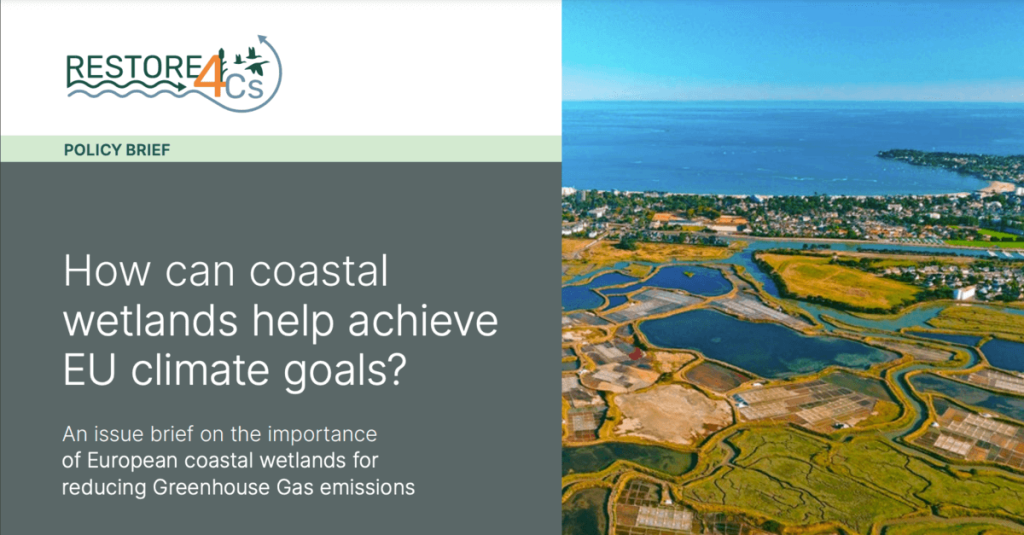 How can coastal wetlands help achieve EU climate goals? – Policy Brief ...