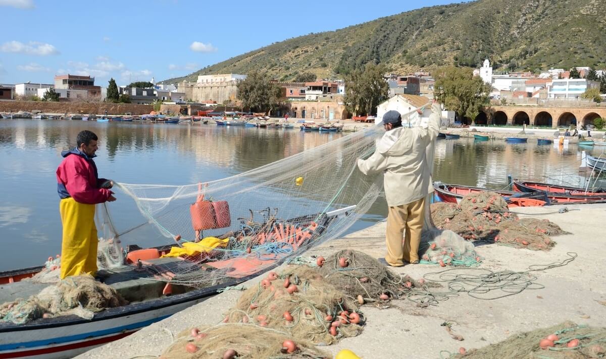 Programme de Communication, renforcement des capacités, Éducation ...